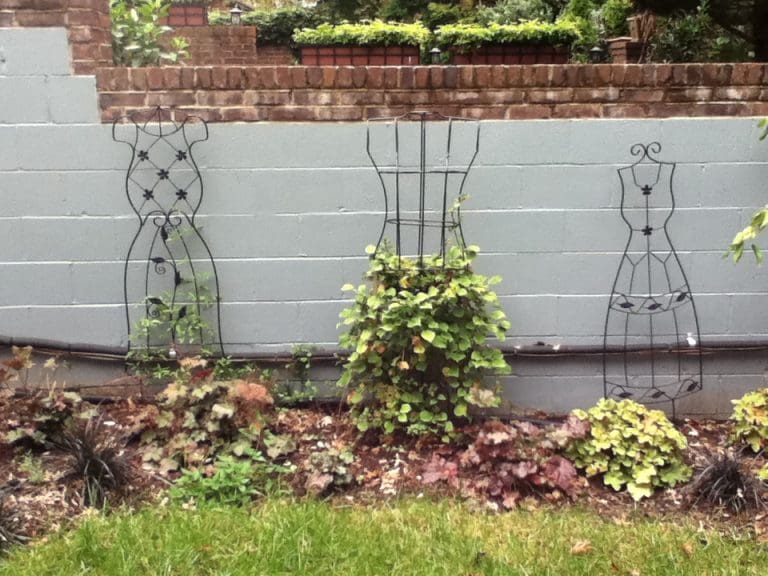 Ways to Save Money on Landscaping - The Landscape Design Center