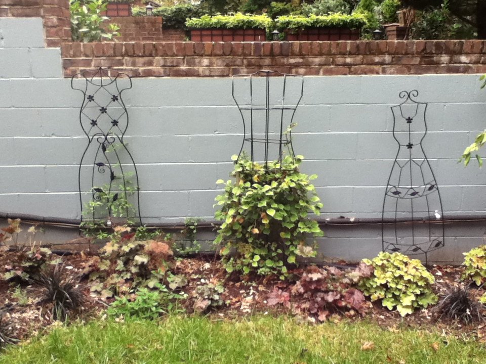 Top Landscaping Trends for 2024 - The Landscape Design Center